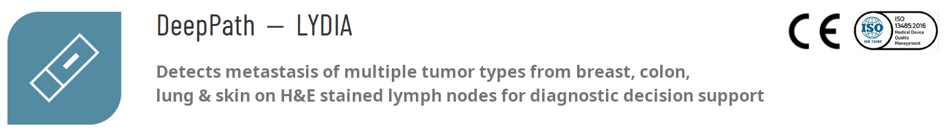 DeepPath™ – LYDIA: AI-Powered Metastasis Detection and Cancer Staging in Lymph Nodes